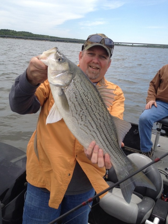 Short Shank Crappie Jig - Truman Lake Fishing Guide - Tom Lawrence